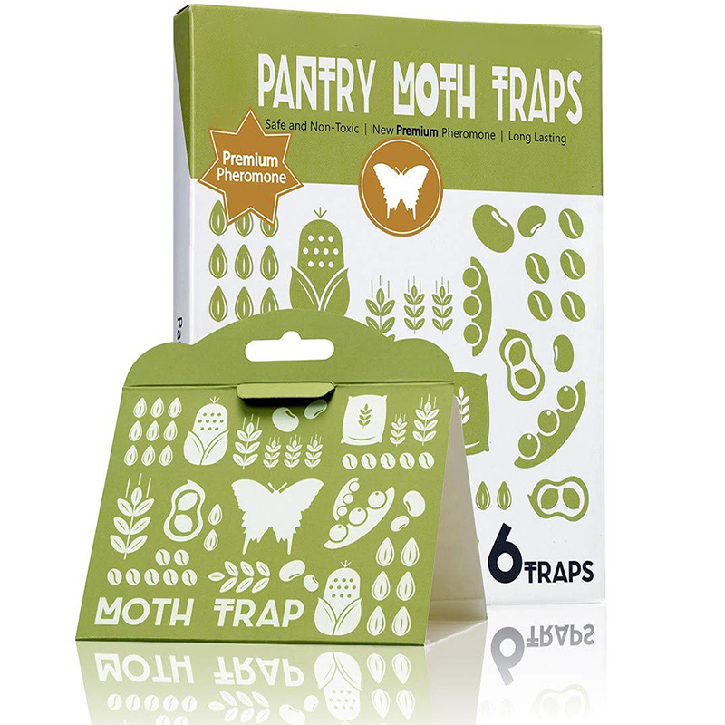 Moth Traps: Safeguarding Health and Home - Professional insect glue ...